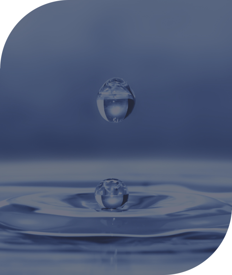 Mastering Personal Crisis with Resilience - Swiss Resilience Hub